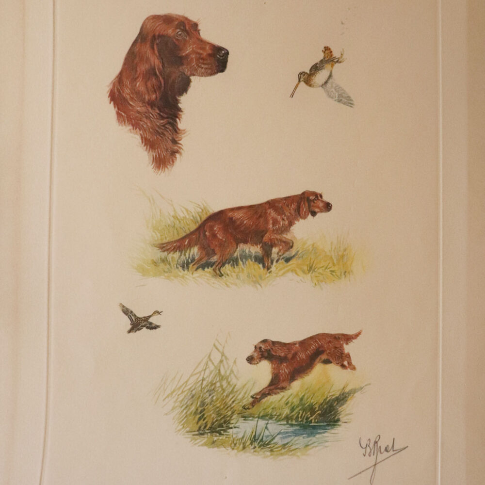 Boris RIABOUCHINSKY dit RIAB (1898-1975) (D'après) & Edition Pierre ...